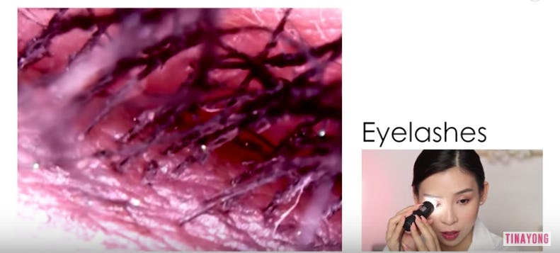 What Makeup Looks Like Under A Microscope Is FAR More Disturbing Than ...