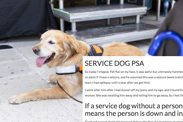 This Post About Why You Should Follow A Service Dog If It Approaches ...
