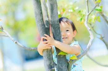 11 Baby Names Inspired By Trees That Will Grow Up With Them