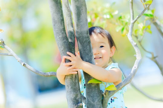 11 Baby Names Inspired By Trees That Will Grow Up With Them