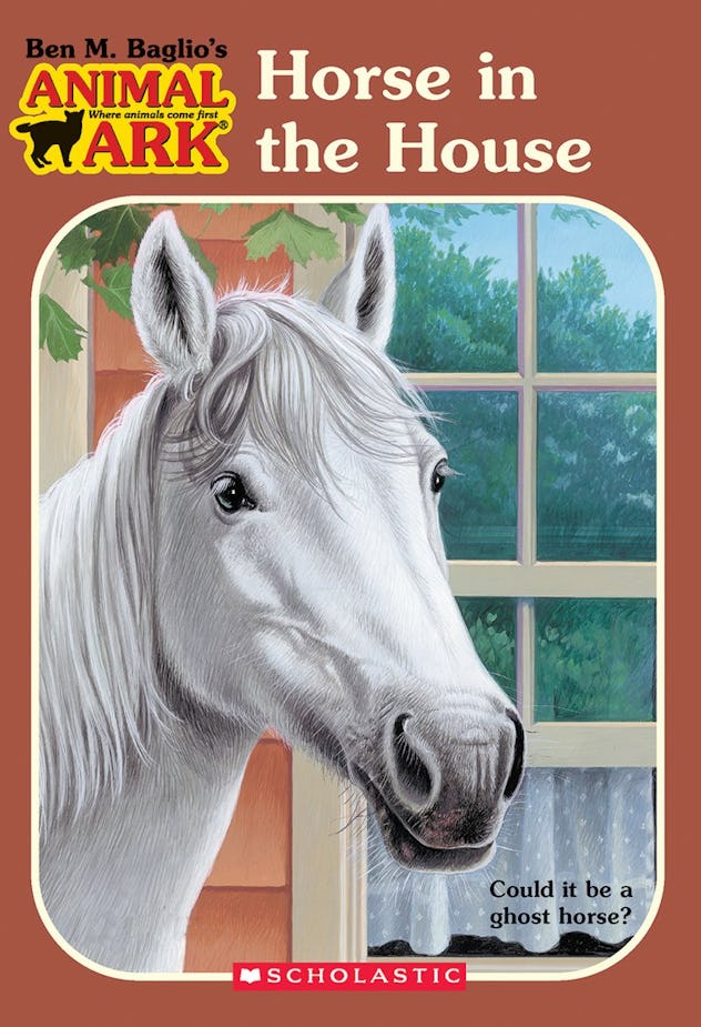 15 Books About Horses Every '90s Kid Definitely Read In Their Childhood