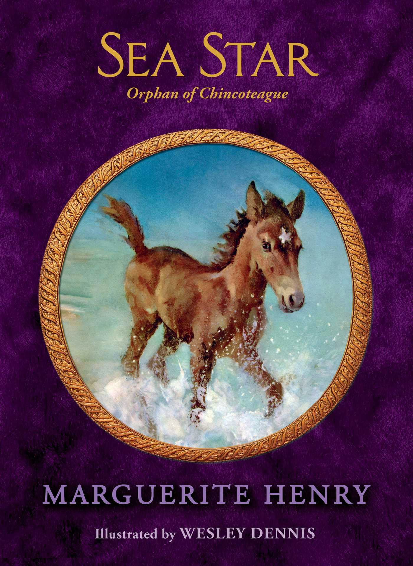 15 Books About Horses Every '90s Kid Definitely Read In Their Childhood
