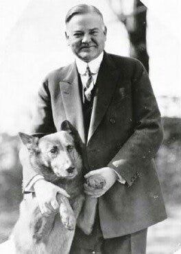 13 Dogs U.S. Presidents Have Had, Proving First Pets Are Part Of ...