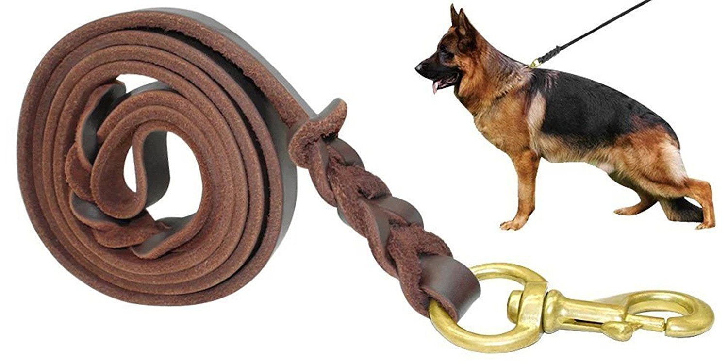 The 6 Best Chew-Proof Dog Leashes In 2022