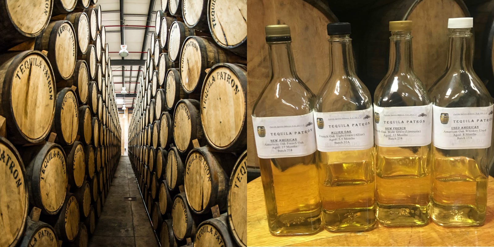 5 Facts About Making Tequila From Hacienda Patron That'll Make You Say ...