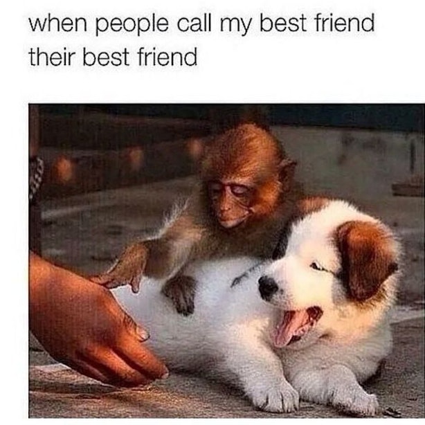 10 Funny Memes To Send Your Bff On National Best Friends Day Big