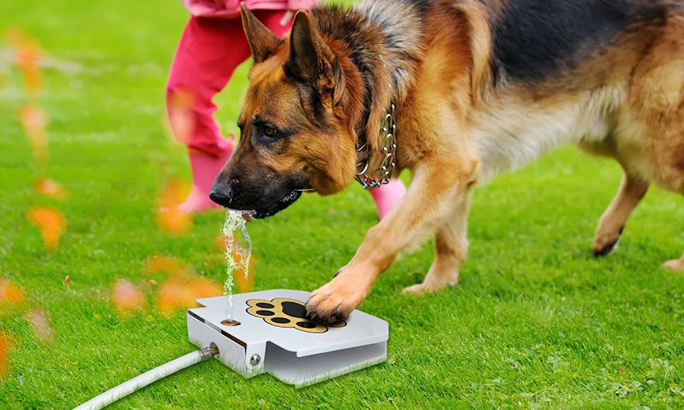 Dog Yard Toys Ideas What Up Now Dog Yard Toys Ideas What Up Now
