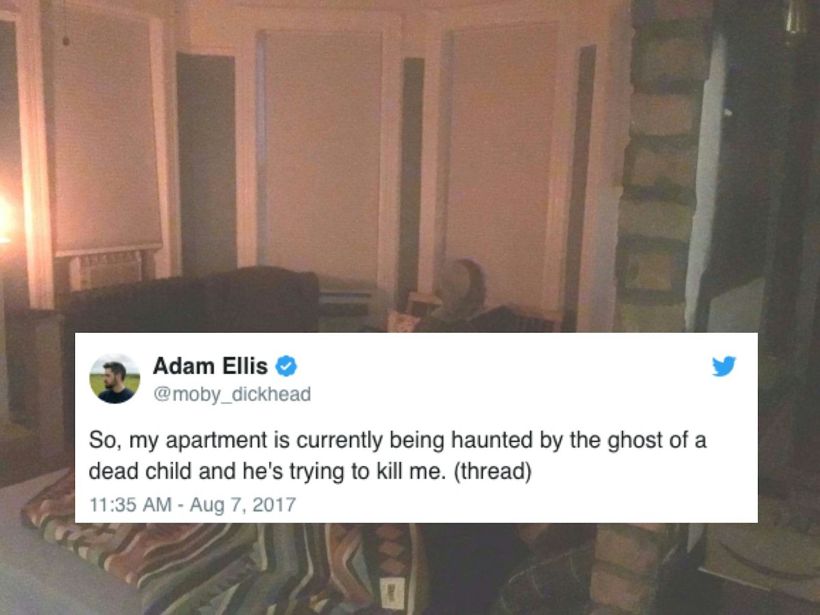 A "Dear David" Movie Is In The Works After Adam Ellis's Viral Tweets ...