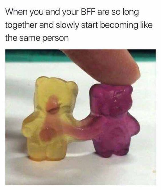15 Hilarious BFF Memes For National Best Friends Day 2018 That'll Make ...