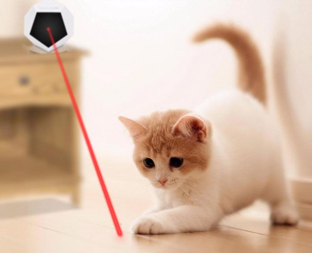 The 7 Best Cat Toys For Active Cats