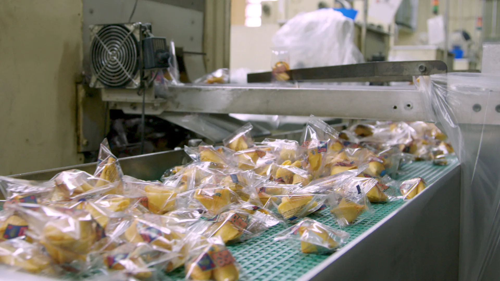 Meet the Guy Who Writes Your Fortune Cookies