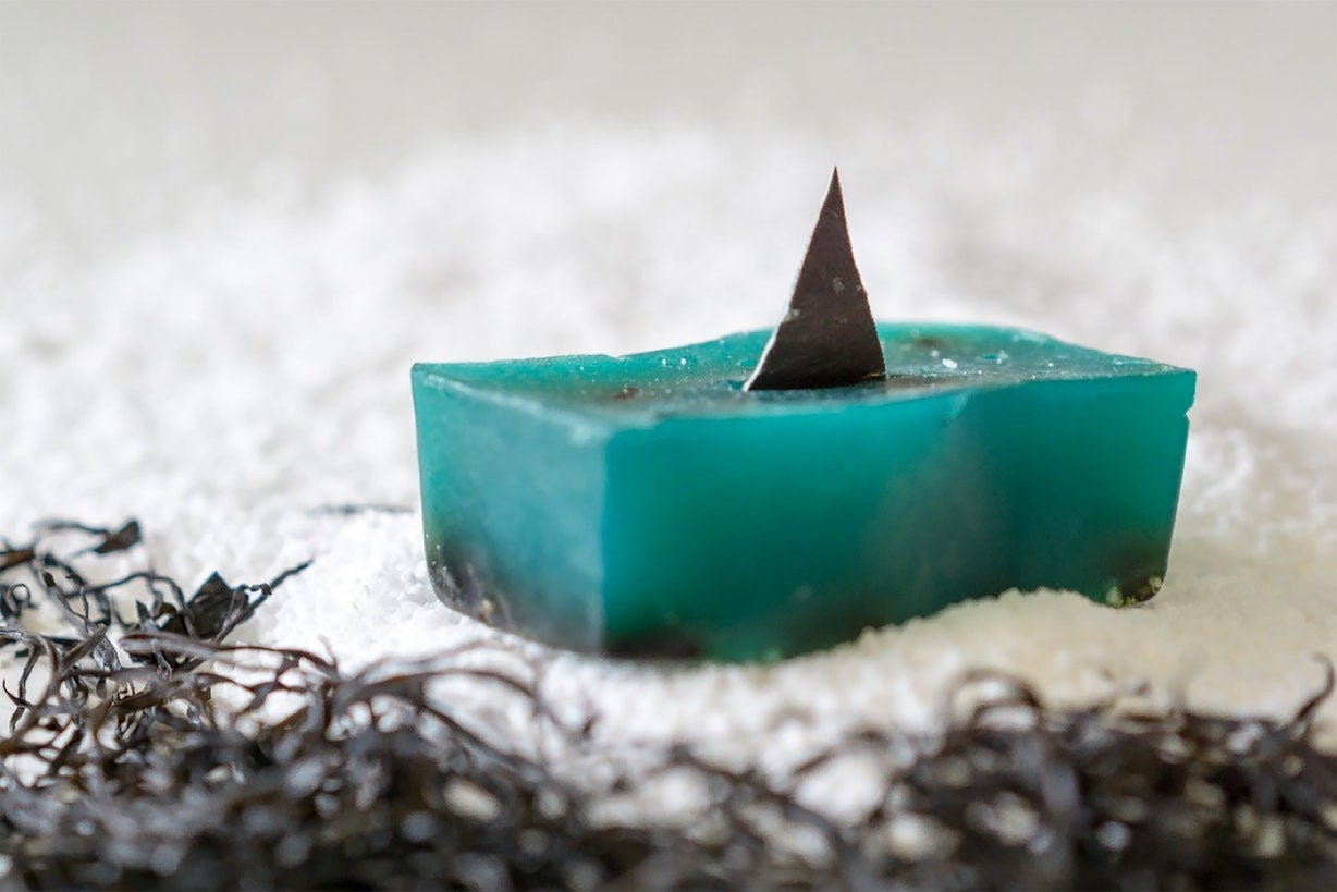 Lush's 2018 Shark Fin Soap Is The Cutest Way To Help Save The Sharks