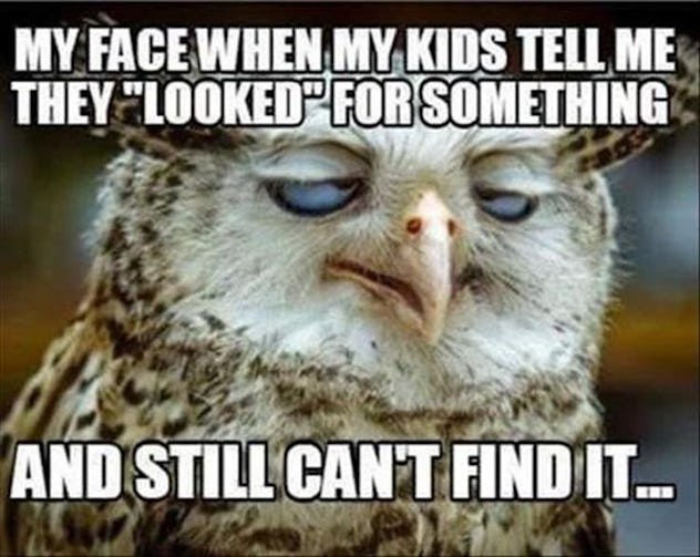 25 Hilarious Memes For Stay-At-Home-Moms, That Will Make You Say "Umm ...