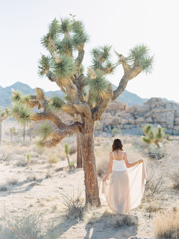 The 8 Most Instagrammable Stops To Visit On A California Road Trip