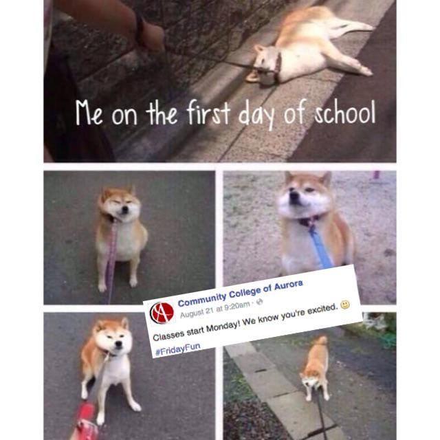 14 Funny First Day Of School Memes, Because It Probably Won't Go Off ...