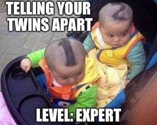 8 Funny National Twin Day 2018 Memes That'll Make You Laugh Twice As Hard