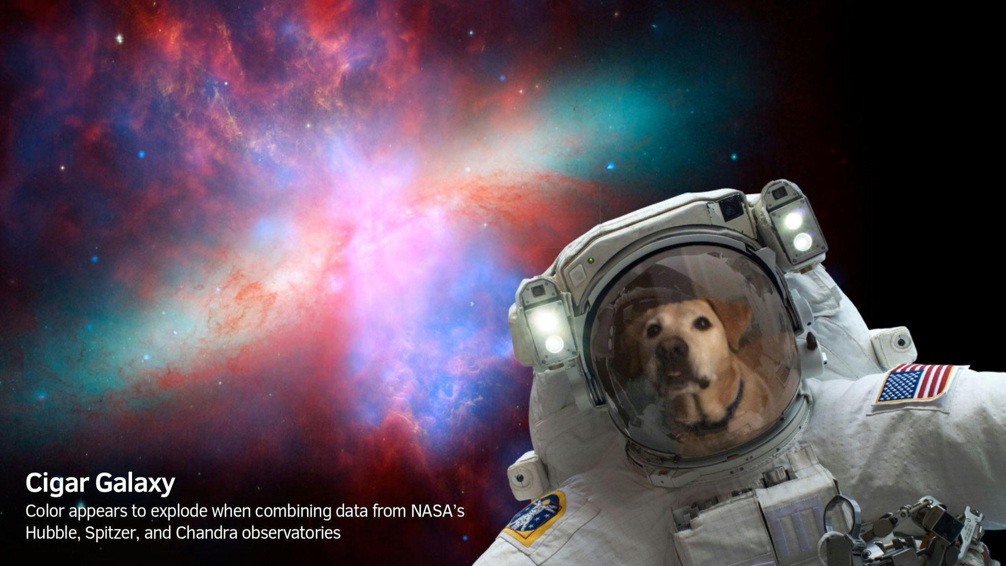 NASA Selfies App Lets You Take Your Picture In Outer Space