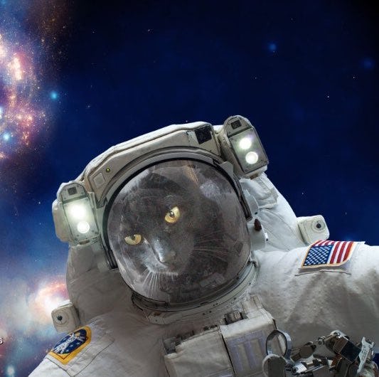 NASA Selfies App Lets You Take Your Picture In Outer Space