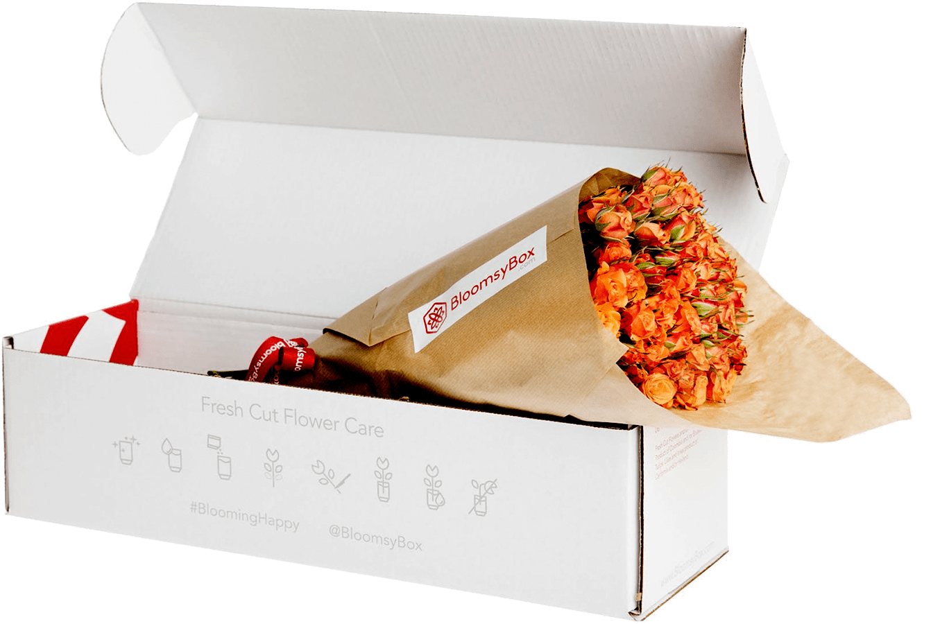 7 Plant Subscription Boxes For Your Favorite Plant Mom