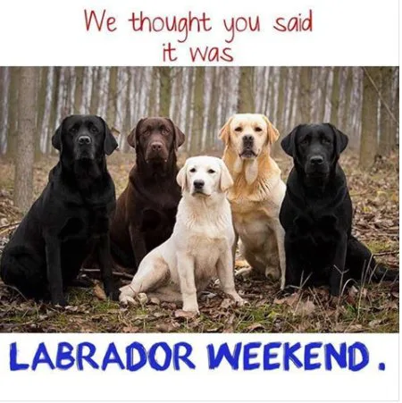 9 Labor Day 2019 Memes That Just Really Get You
