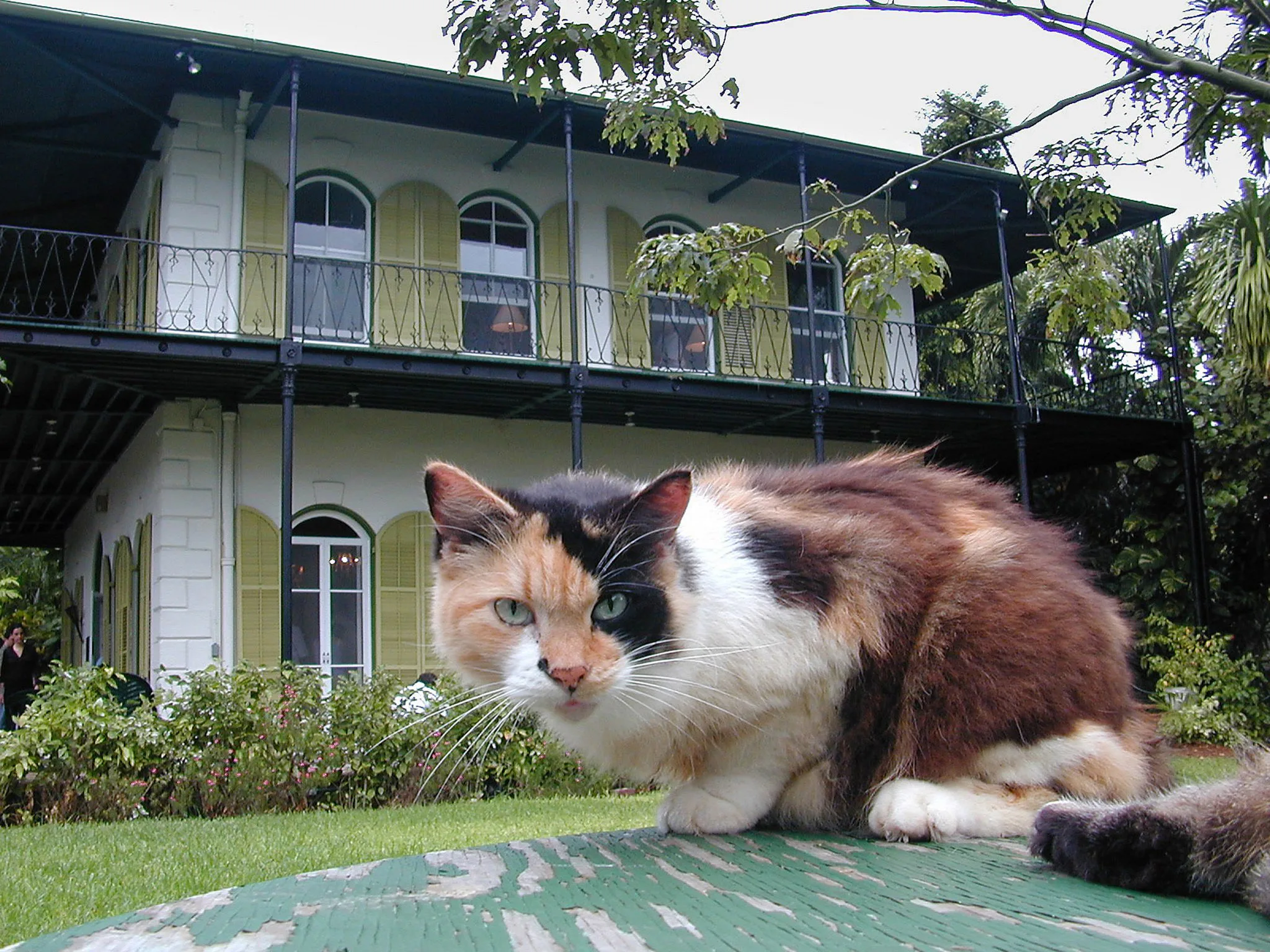 10 Pet Museums Around The World That Every Dog & Cat Lover Should Visit
