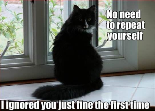 11 Funny International Cat Day 2018 Memes That All Cat-Lovers Will ...