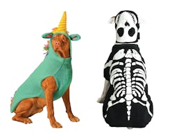 11 Halloween 2018 Costumes For Big Dogs That You'll Kind Of Wish They ...