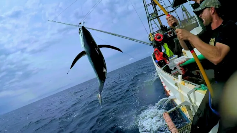Will 'Battlefish' Return For Season 2? Netflix Wants To Reel In Reality ...