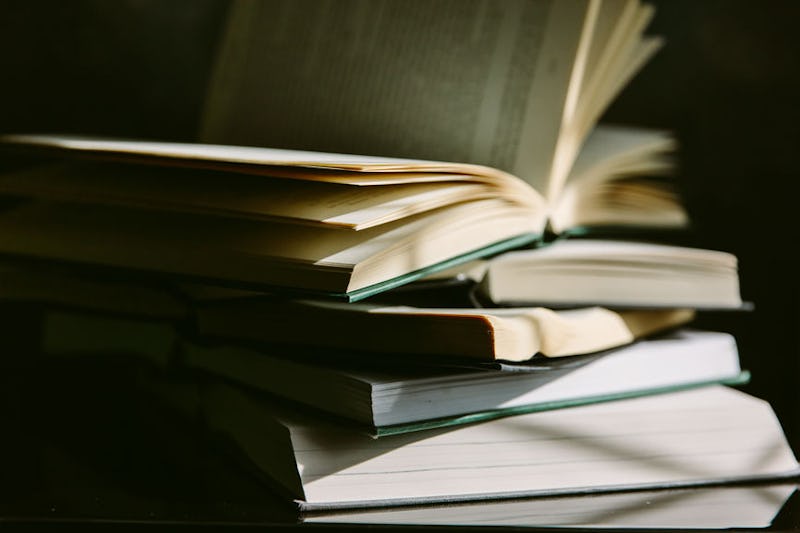 11 Books Within Books That Will Definitely Stretch Your Imagination