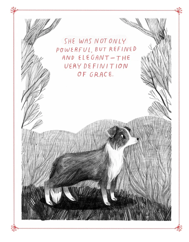 Sy Montgomery's Book 'How To Be A Good Creature' Is A Heartwarming Love ...