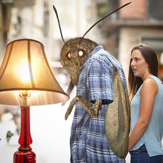 What Is The Moth Lamp Meme? Here’s Why You Keep Seeing This Meme On ...
