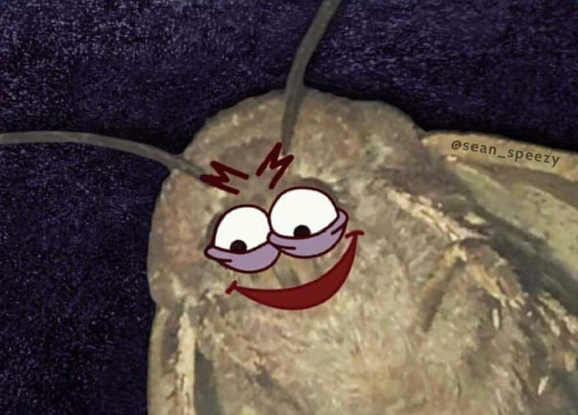 What Is The Moth Lamp Meme? Here’s Why You Keep Seeing This Meme On ...