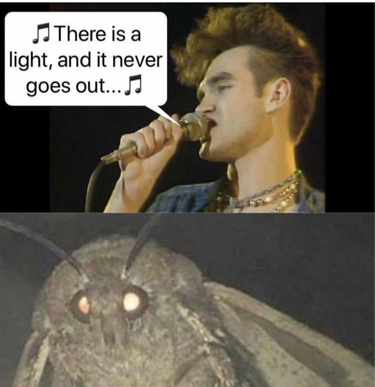 What Is The Moth Lamp Meme? Here’s Why You Keep Seeing This Meme On ...