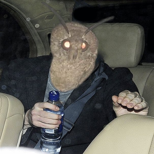 What Is The Moth Lamp Meme? Here’s Why You Keep Seeing This Meme On ...