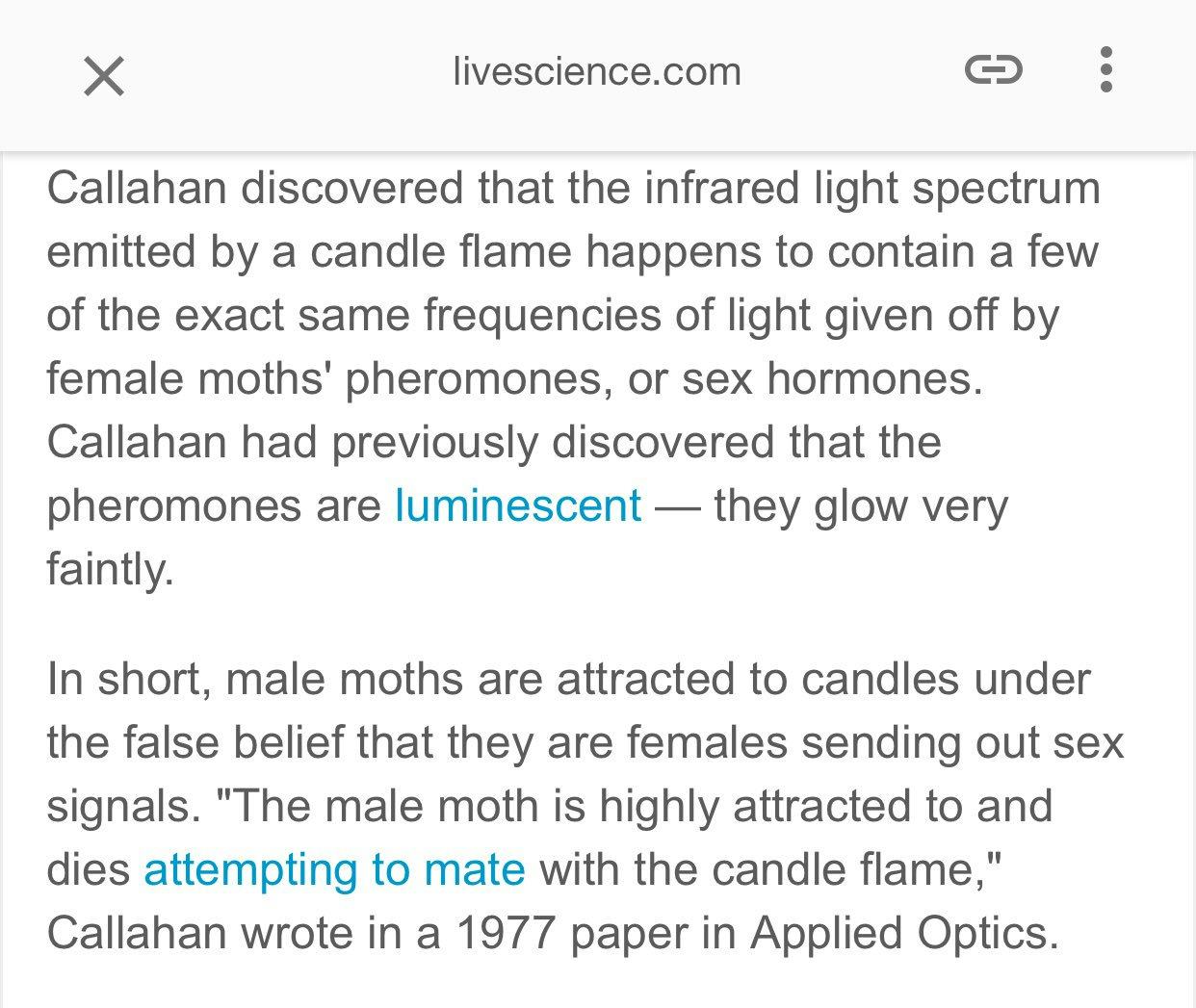 What Is The Moth Lamp Meme? Here’s Why You Keep Seeing This Meme On ...