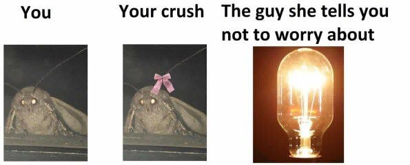 What Is The Moth Lamp Meme? Here’s Why You Keep Seeing This Meme On ...