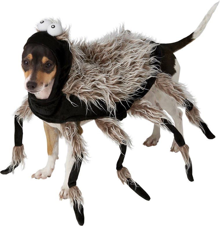 11 Funny Dog Halloween 2018 Costumes That Your Pup Won’t Hate Wearing