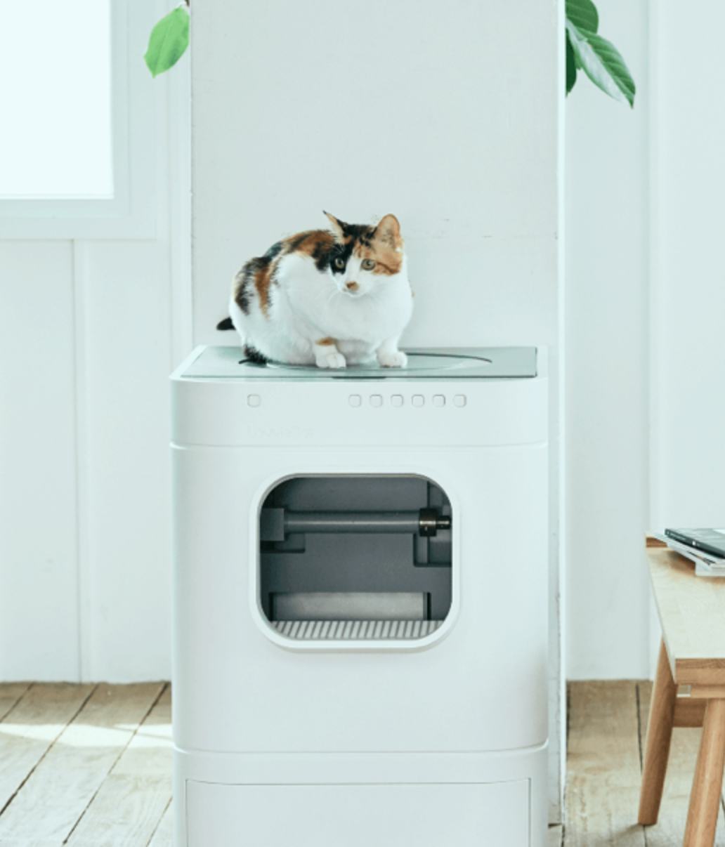 This Self-Cleaning Litter Box Has A Lot More To Offer Than Those Other ...