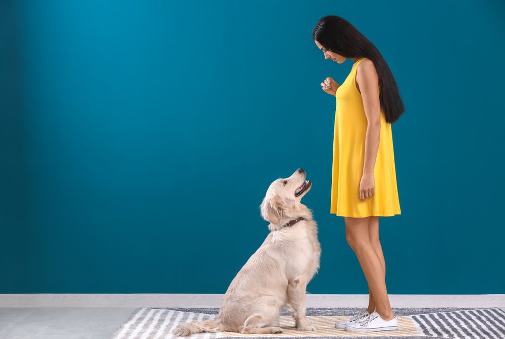 10 Questions Everyone Adopting A Dog Needs To Ask Themselves