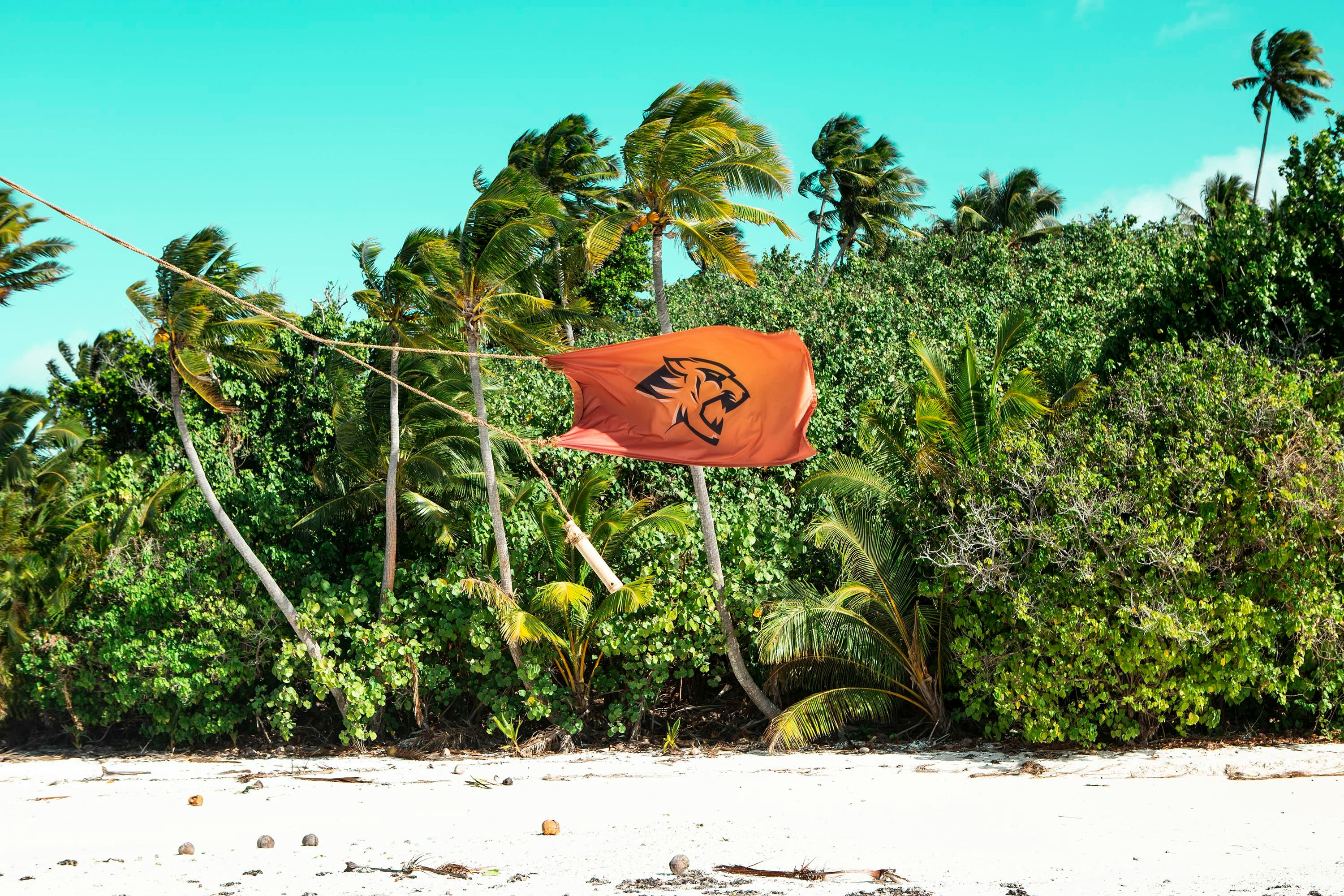 Where Is 'Shipwrecked' Filmed? The Reality Series Is Going Back To Its ...