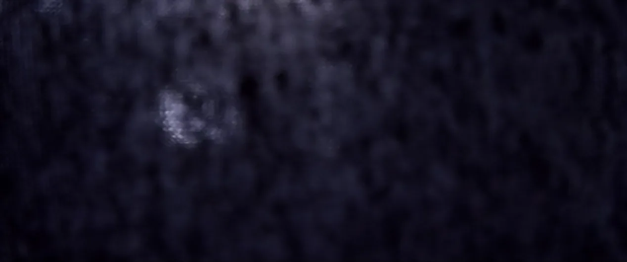The 17 Scariest ‘Bird Box’ Moments That’ll Make You Wish You Had Your ...