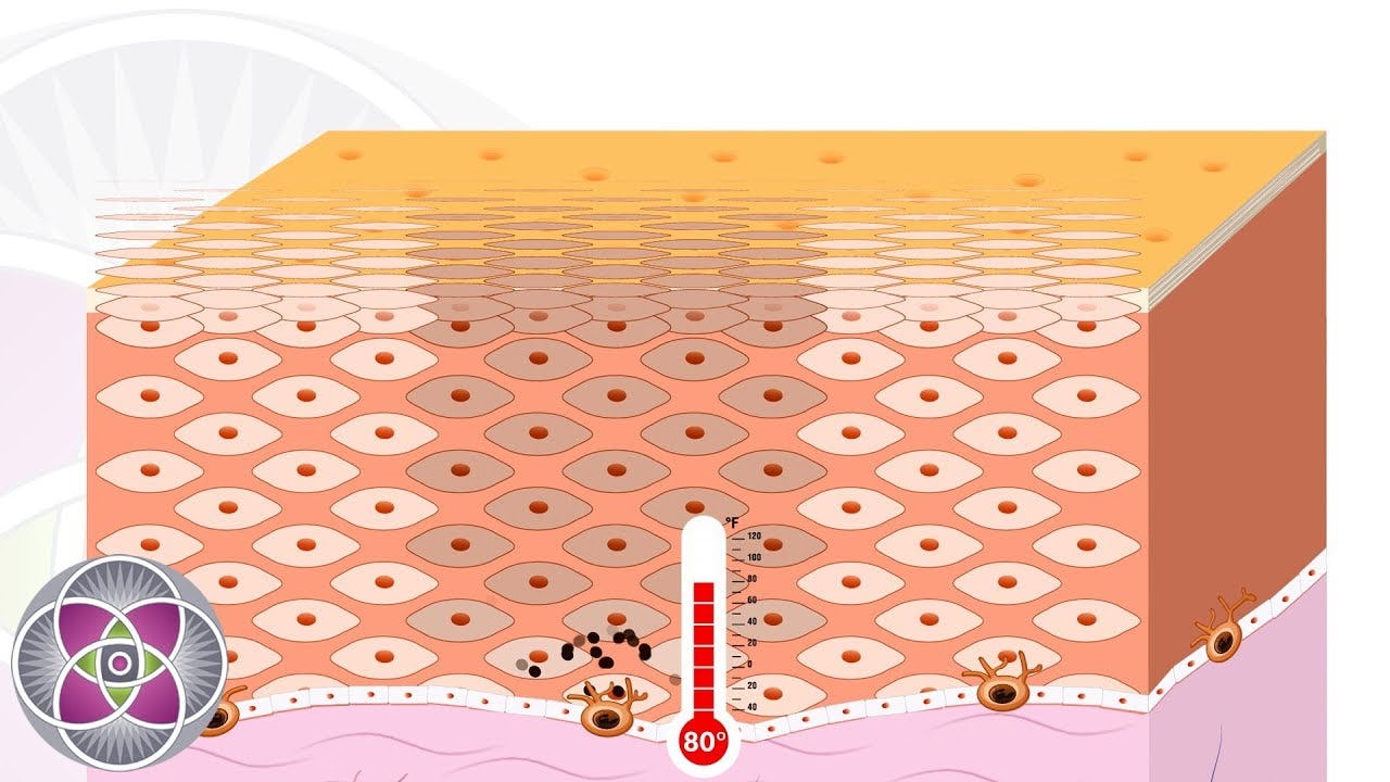 7 Symptoms Hormonal Birth Control Can Cause You Might Not Know About