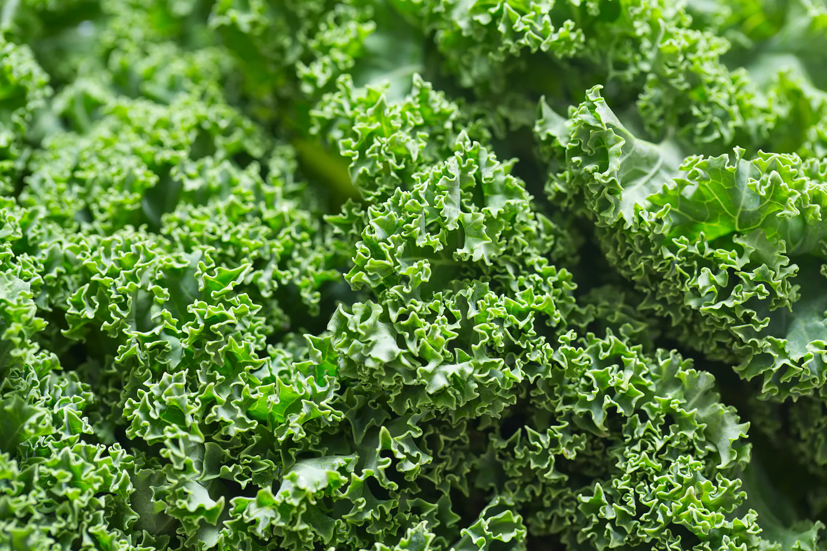These 9 Natural Sources Of SPF Are Hiding In Your Kitchen