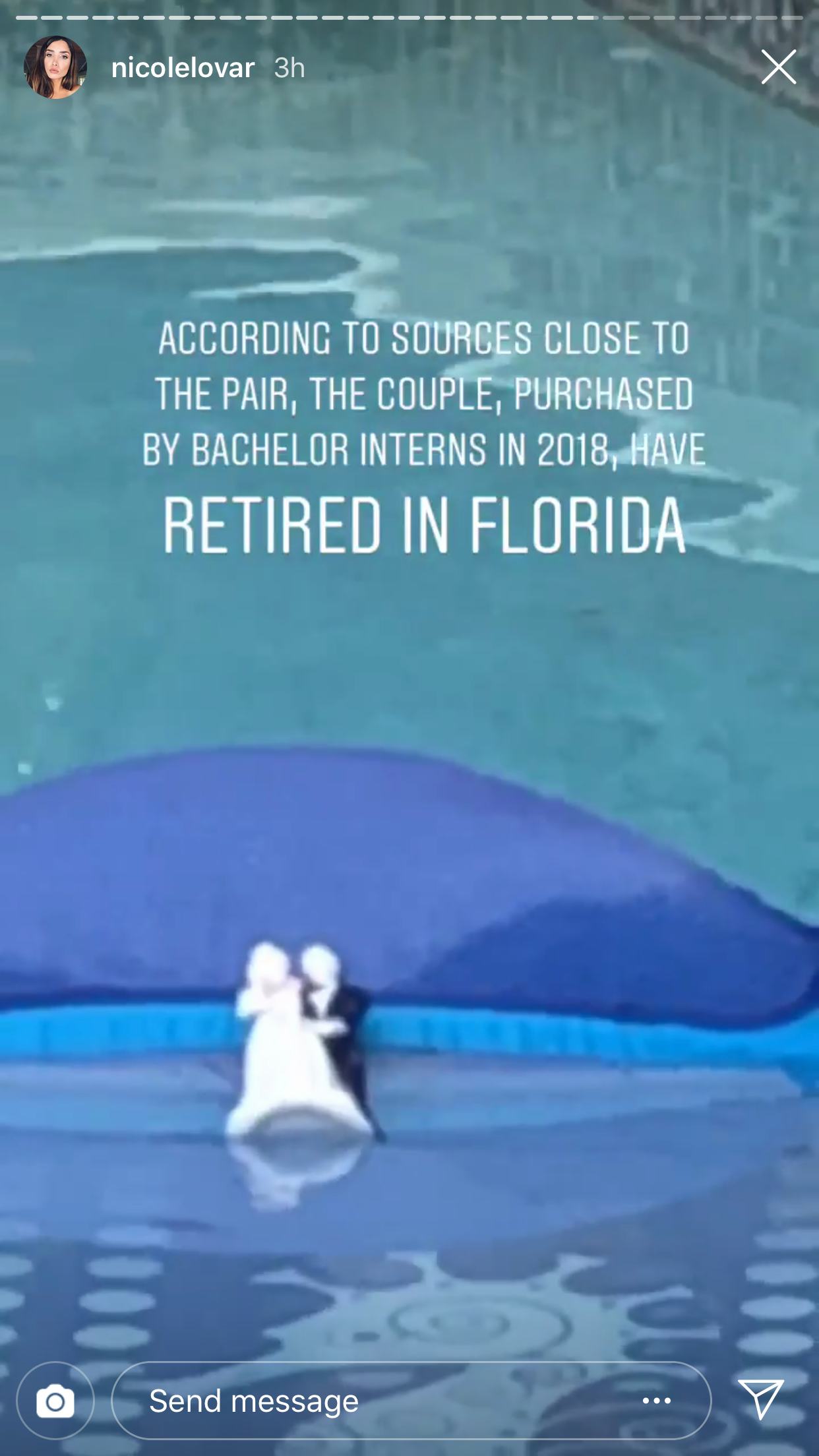 Nicole From 'The Bachelor' Took Home That Wedding Cake Topper, So ...