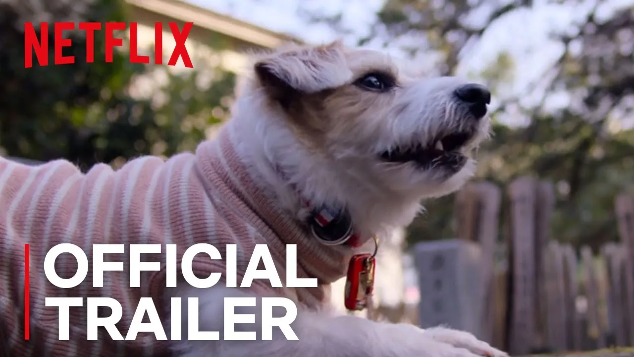 The 19 Most Entertaining Things On Netflix To Have On In The Background