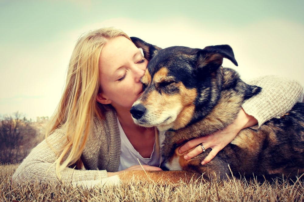 11 Emotions You Didn’t Realize Dogs Could Feel