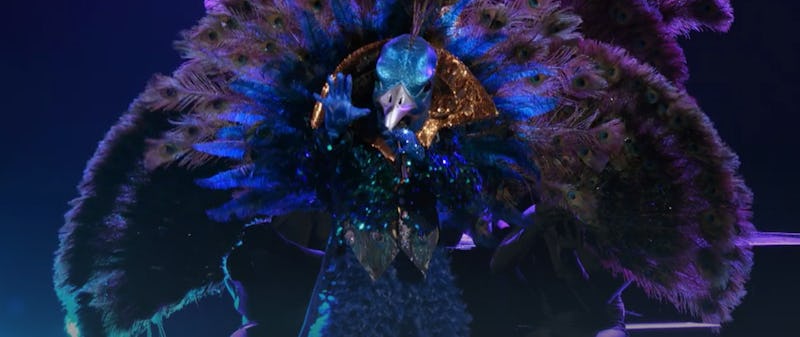 These 'Masked Singer' Memes & Tweets Include A Whole Range Of Guesses ...