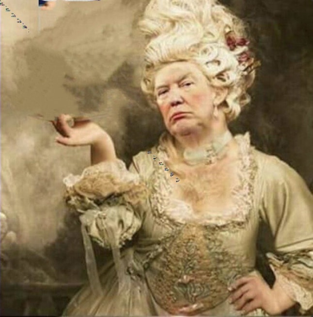 "Forrest Trump" Memes & Tweets Mock The President For Another Hilarious ...