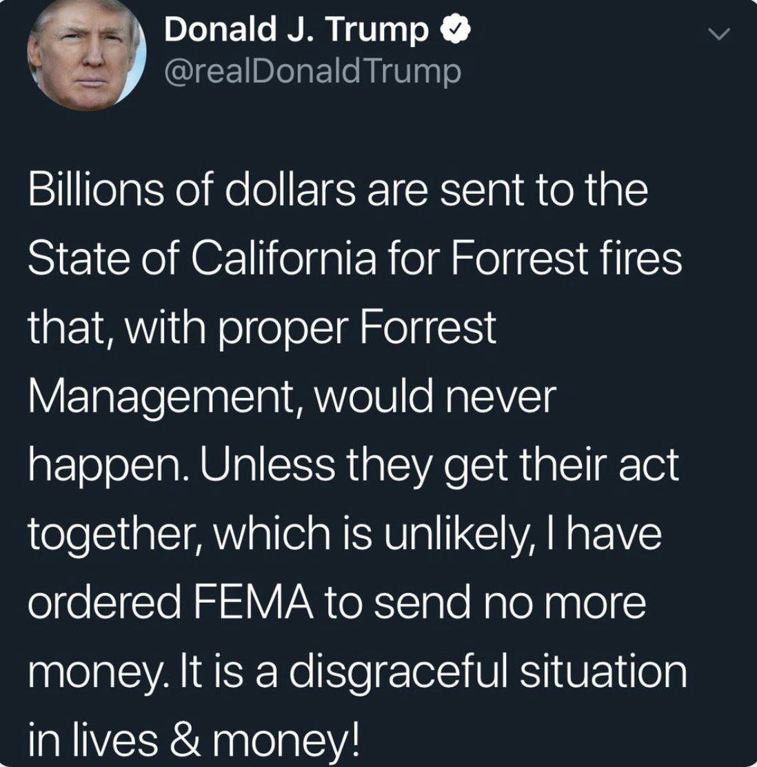 "Forrest Trump" Memes & Tweets Mock The President For Another Hilarious ...