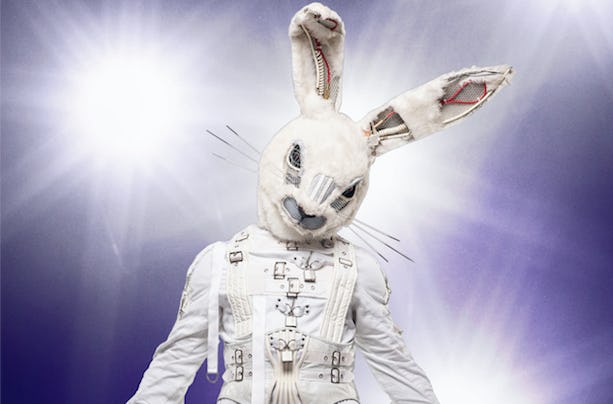 'Masked Singer' Rabbit Theories Suggest This Celeb Is A Famous Boy Band ...